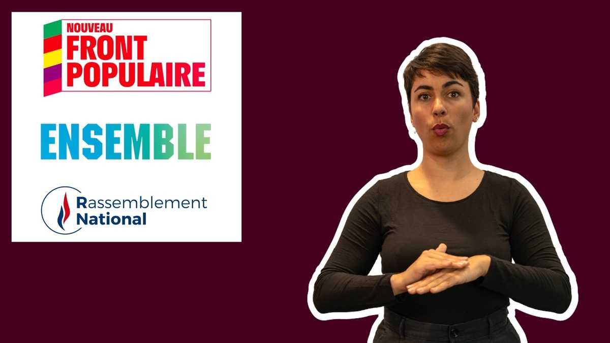 Élections législatives : quels sont les programmes des principaux ...