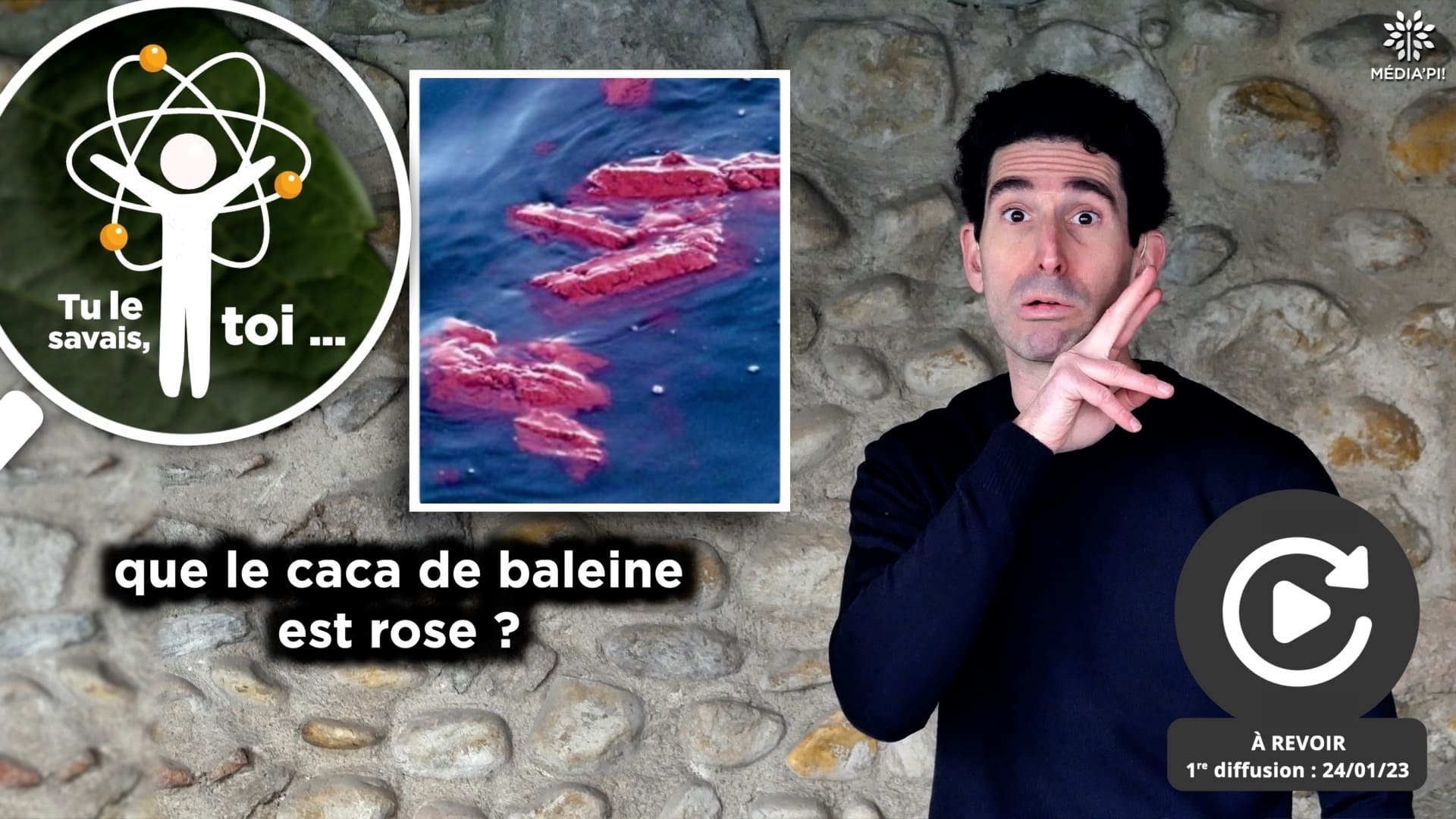 À revoir - Tu le savais, toi... que le caca de baleine est rose ? - Médiapi